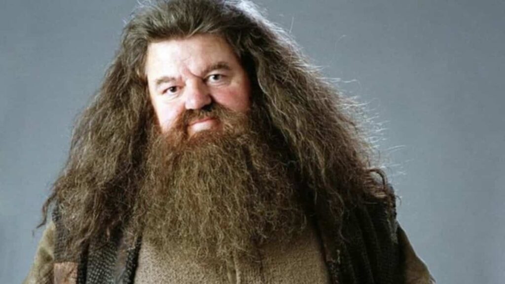 Robbie Coltrane, addio a Rubeus Hagrid di Harry Potter | ROAD TV ITALIA